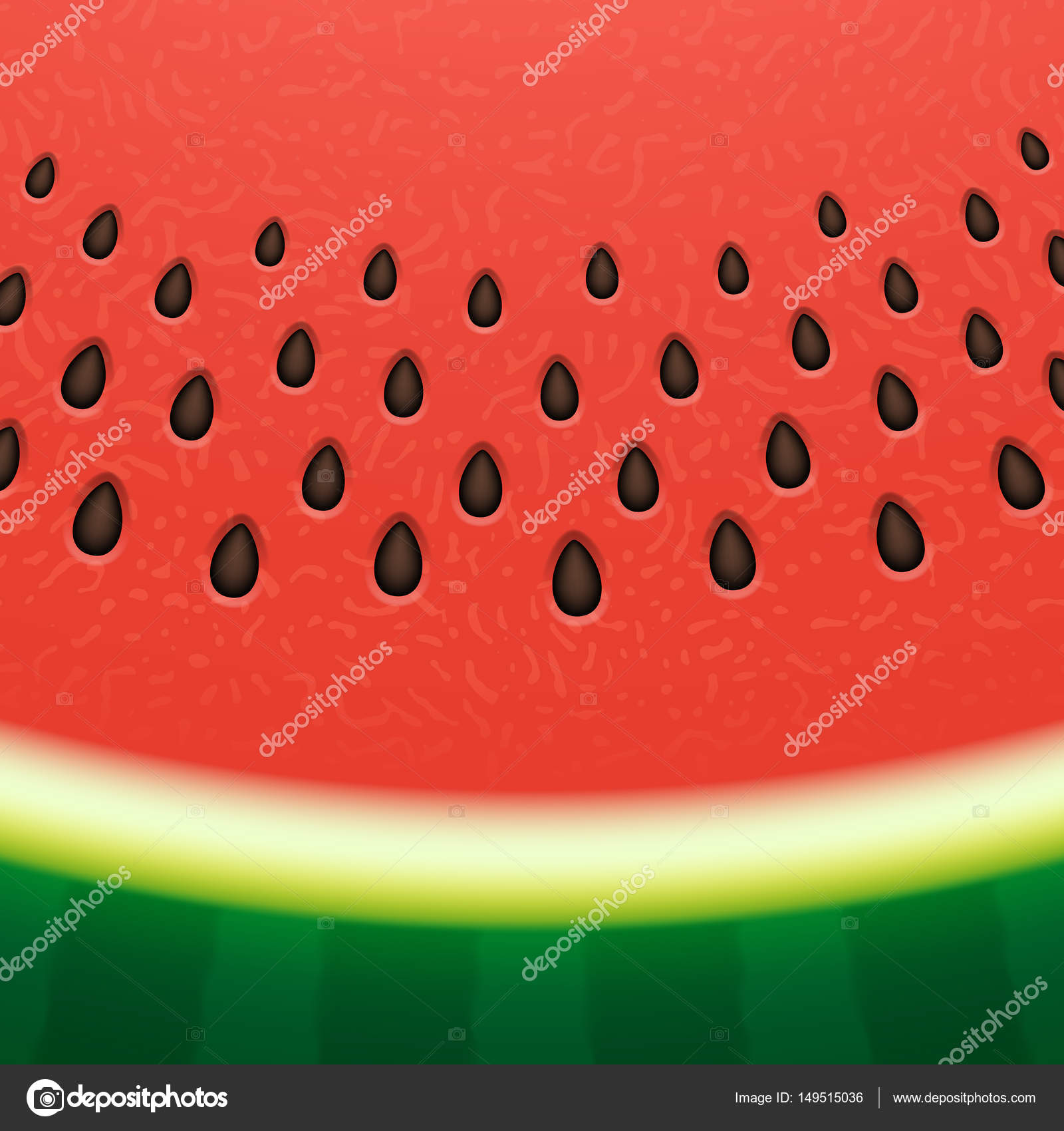 Watermelon texture background Stock Vector Image by ©3d_kot #149515036