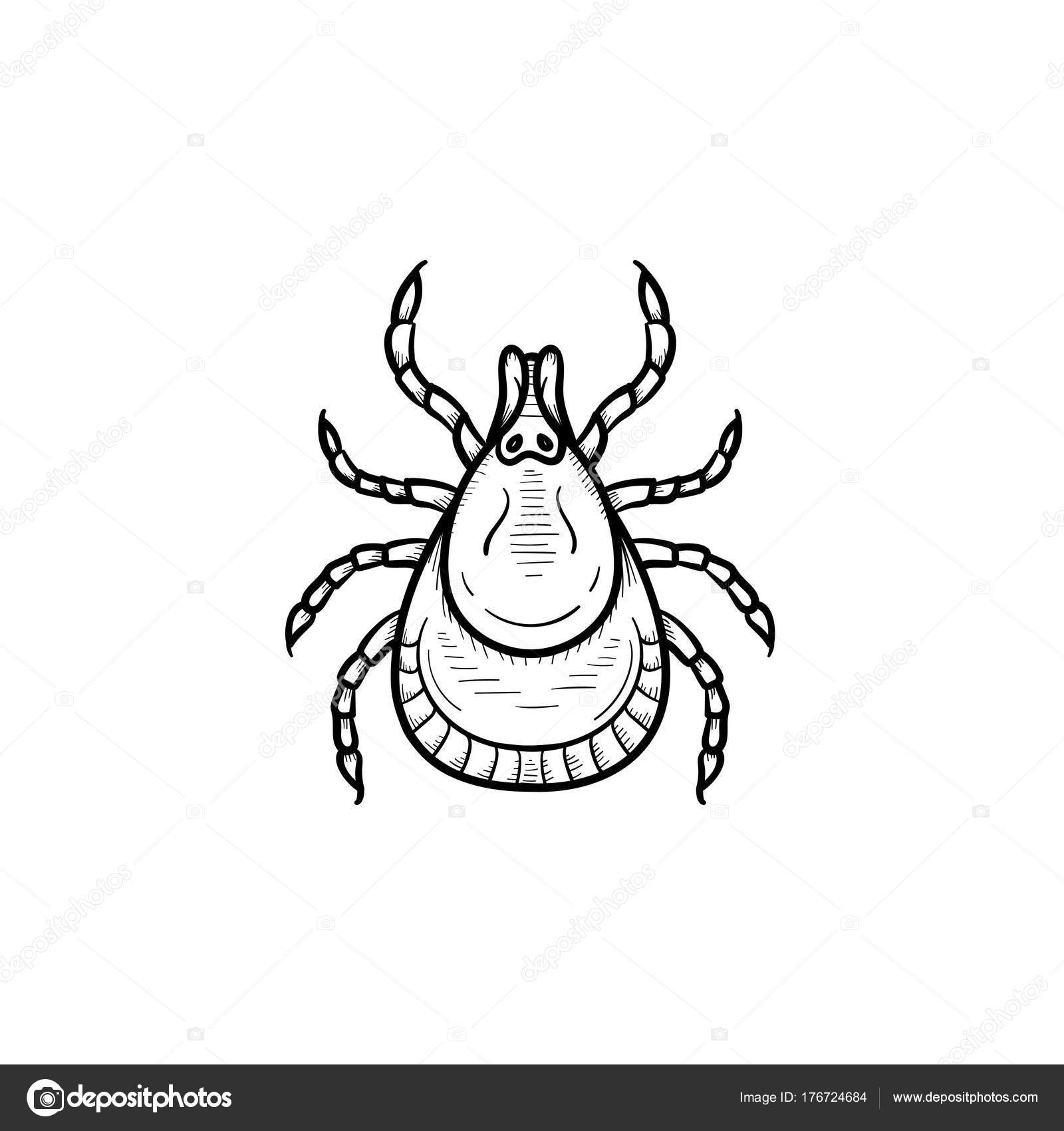 Mite hand drawn sketch icon. Stock Vector by ©VisualGeneration 176724684