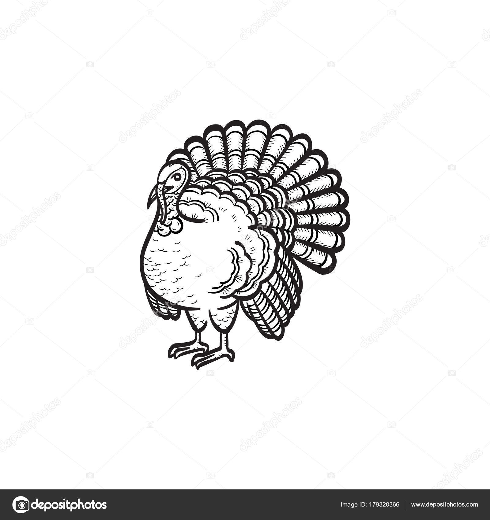Turkey hand drawn sketch icon. Stock Vector by ©VisualGeneration 179320366