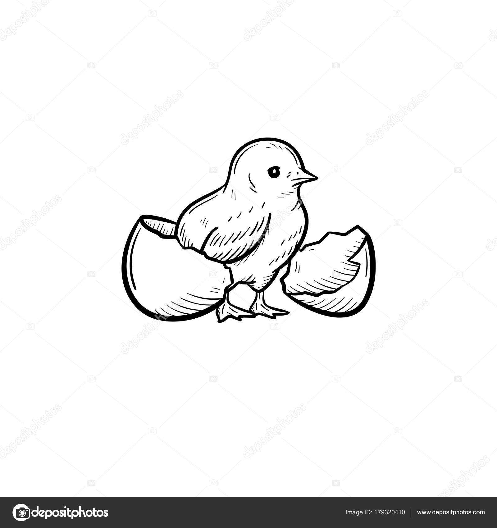 Pintainho mão desenhado ícone esboço . imagem vetorial de ...