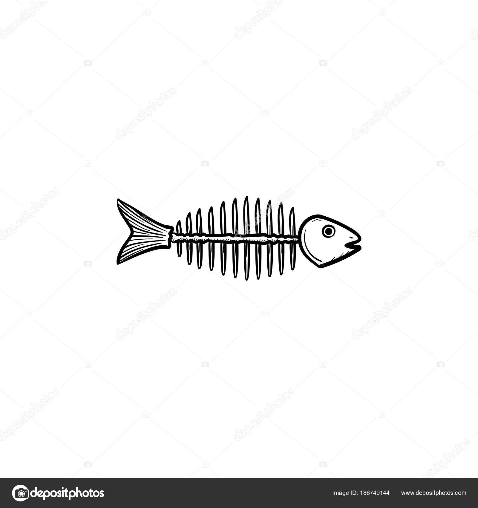 Rotten fish skeleton with bones drawn sketch icon. Stock Vector Image ...