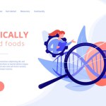 Genetically modified foods landing page concept Stock Vector Image by ©VisualGeneration #302547024