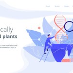 Genetically modified foods landing page concept Stock Vector Image by ©VisualGeneration #302547024