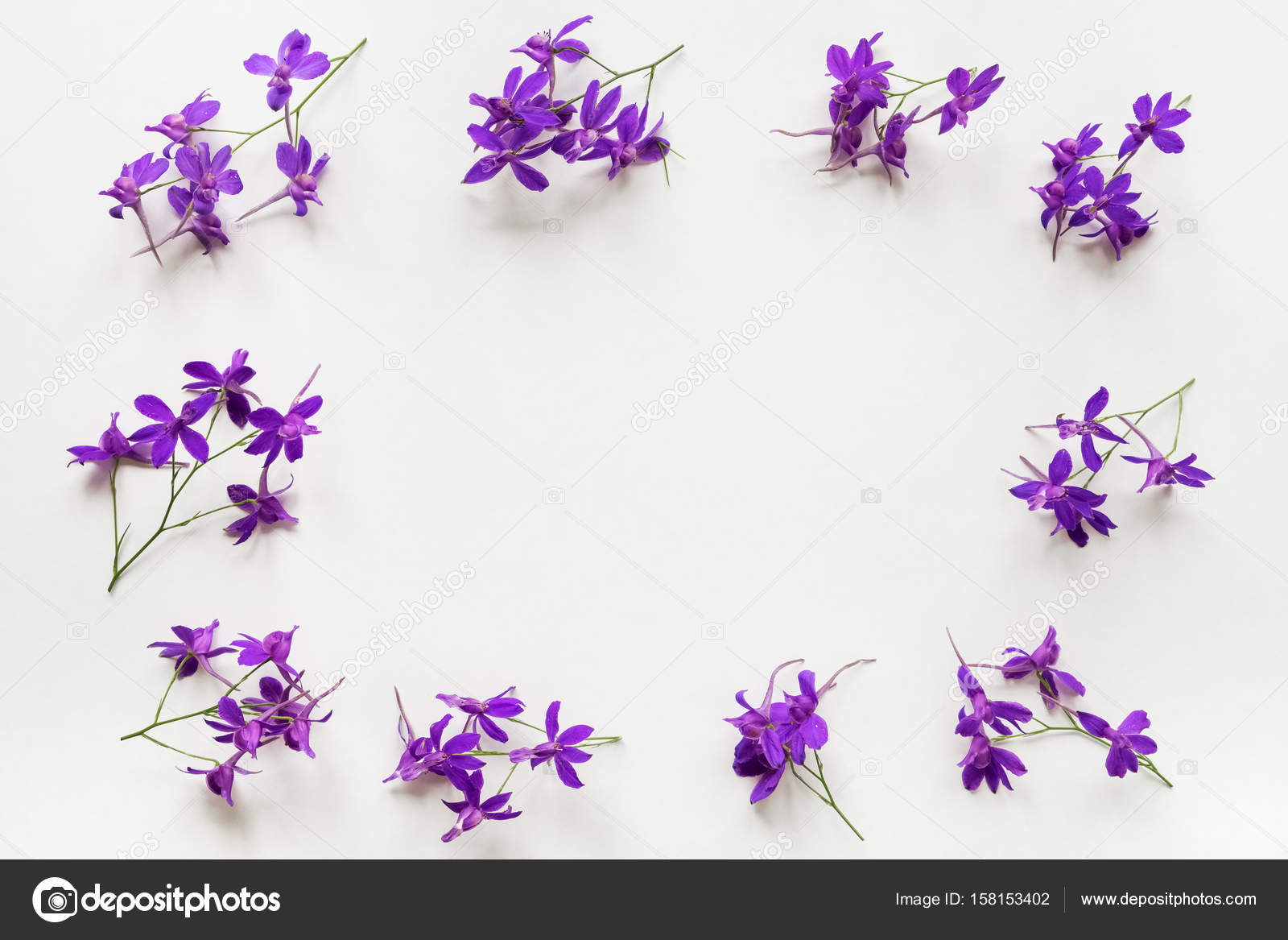 Purple Flower Top Border