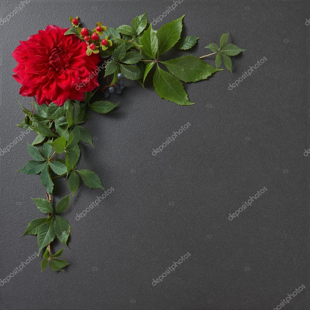 Dekorative Kantdesign