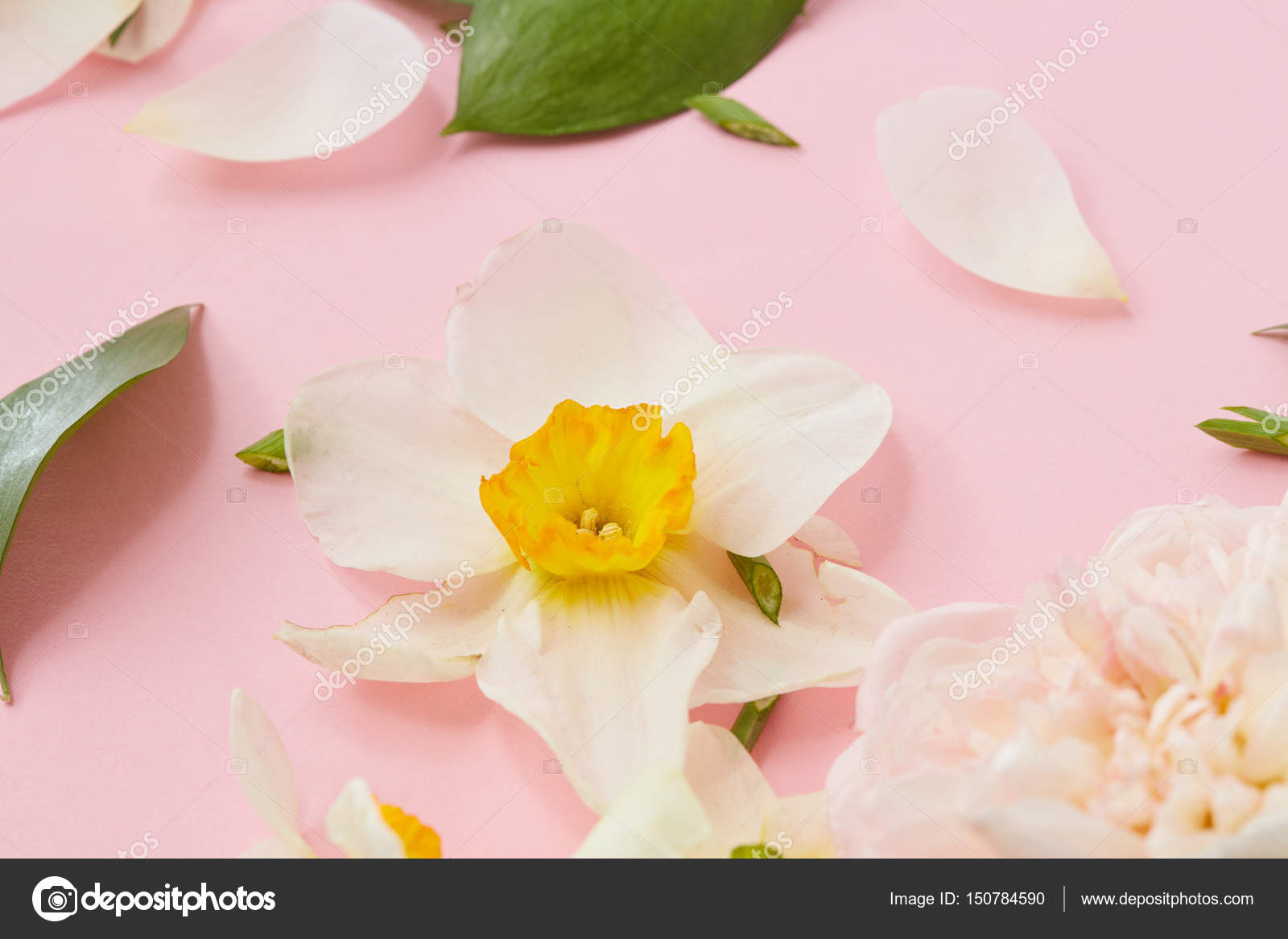 White flowers composition Stock Photo by ©artjazz 150784590