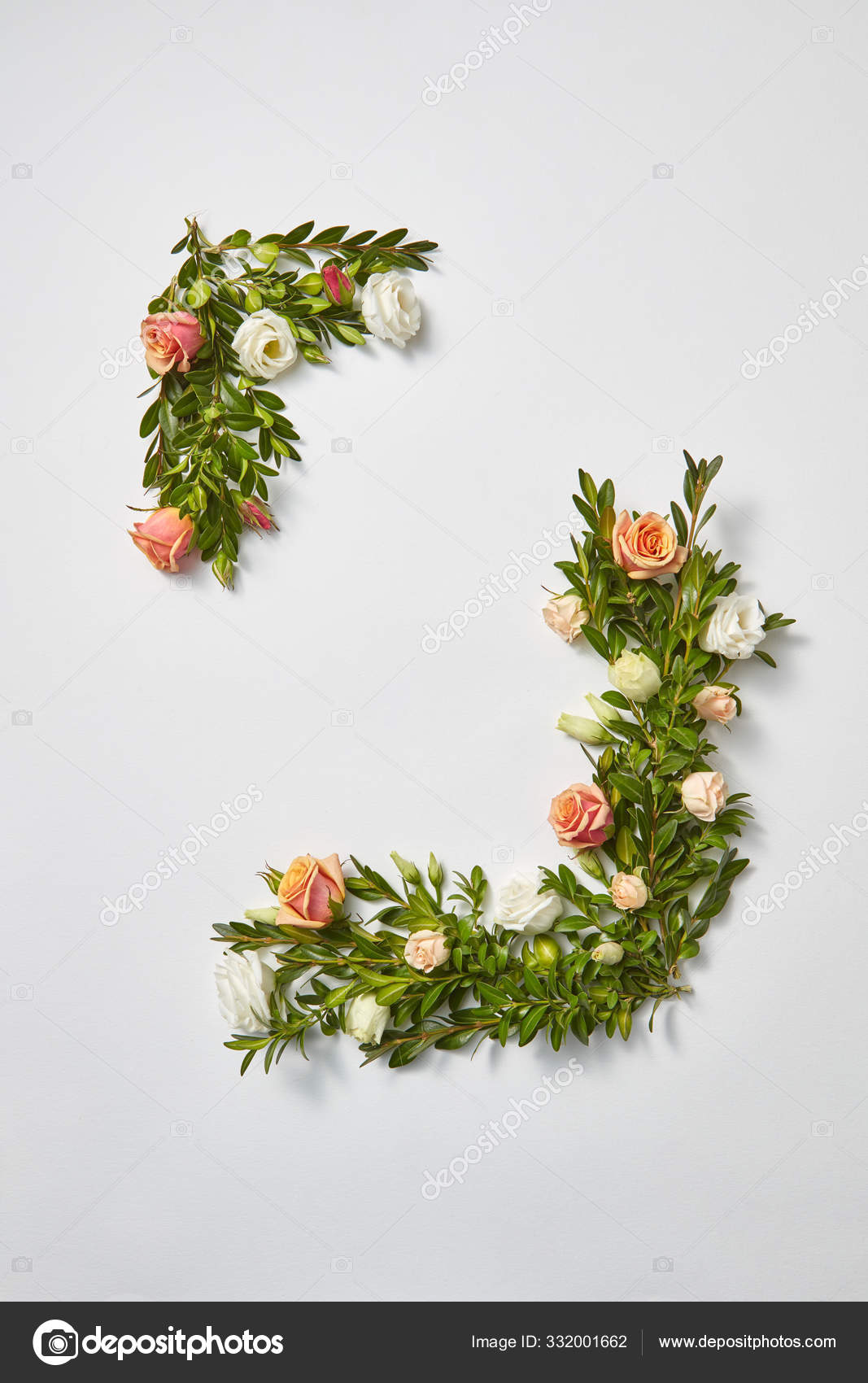Corner Border Frame Evergreen Twigs Boxwood Coral Natural Roses Flowers ...