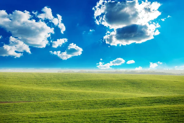 Beautiful spring field with the blue sky Stock Photo by ©Ivantsov 26213691