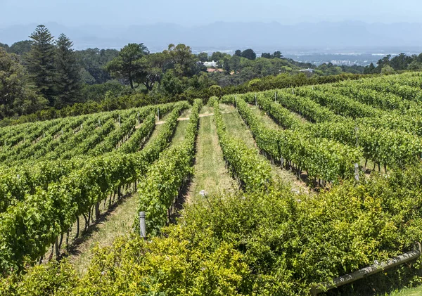 South africa industry Stock Photos, Royalty Free South africa industry ...