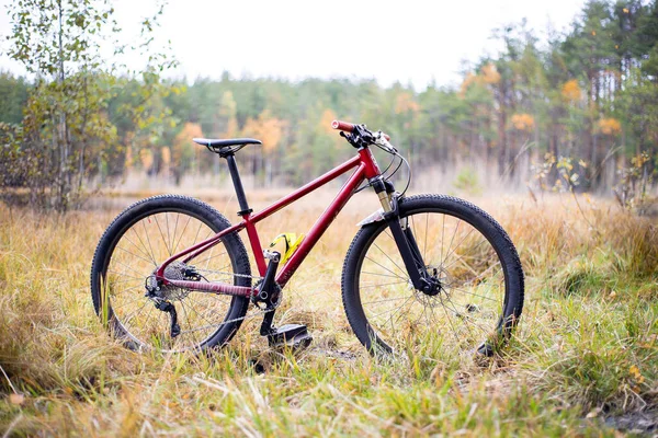 Red mtb bike Stock Photos, Royalty Free Red mtb bike Images | Depositphotos