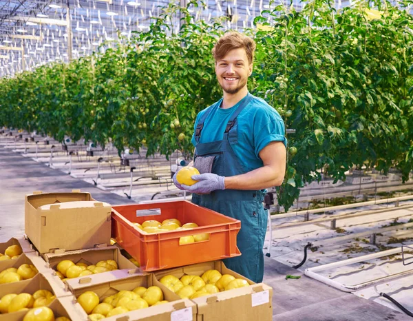 Friendly farmer at work in greenhouse. - Stock Image - Everypixel