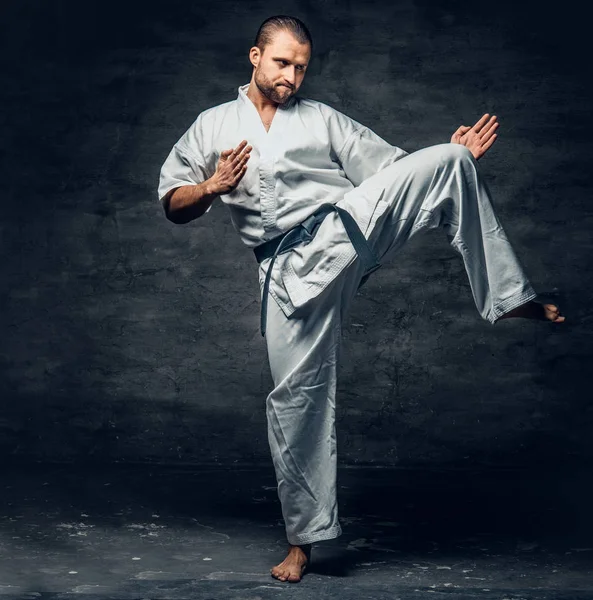 Karate poses Stock Photos, Royalty Free Karate poses Images | Depositphotos