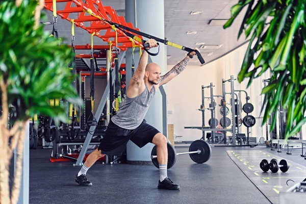 Man doing trx straps exercises - Stock Image - Everypixel