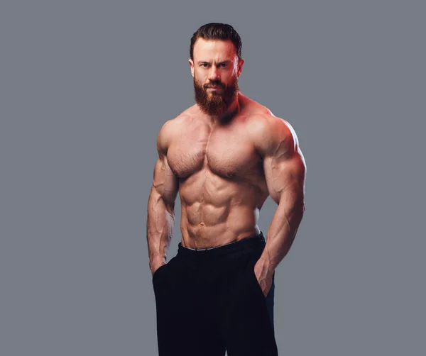Portrait Bearded Shirtless Bodybuilder Grey Background Stock Photo by ...