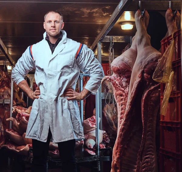 Portrait Butcher White Kitchen Robe Holds Meat Factory Stock Photo by ...