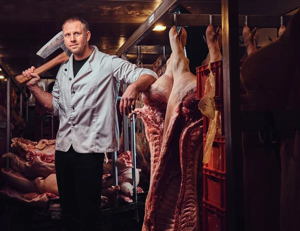 Portrait Butcher White Kitchen Robe Holds Meat Factory Stock Photo by ...