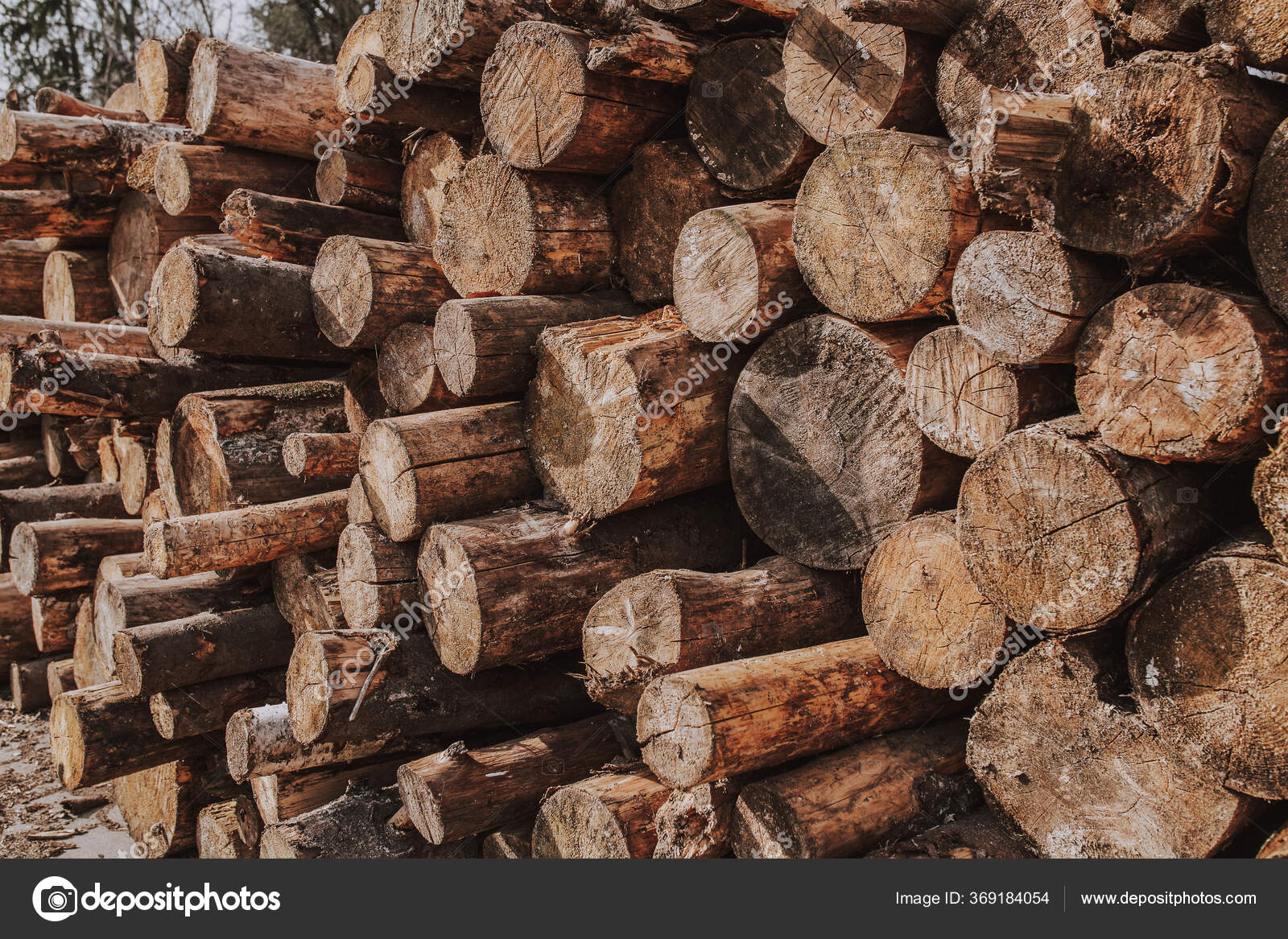 Large Number Logs Impact Deforestation World Ecology Measures Salvation ...