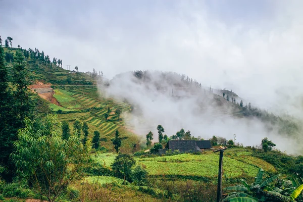 Sapa landscape Stock Photos, Royalty Free Sapa landscape Images ...