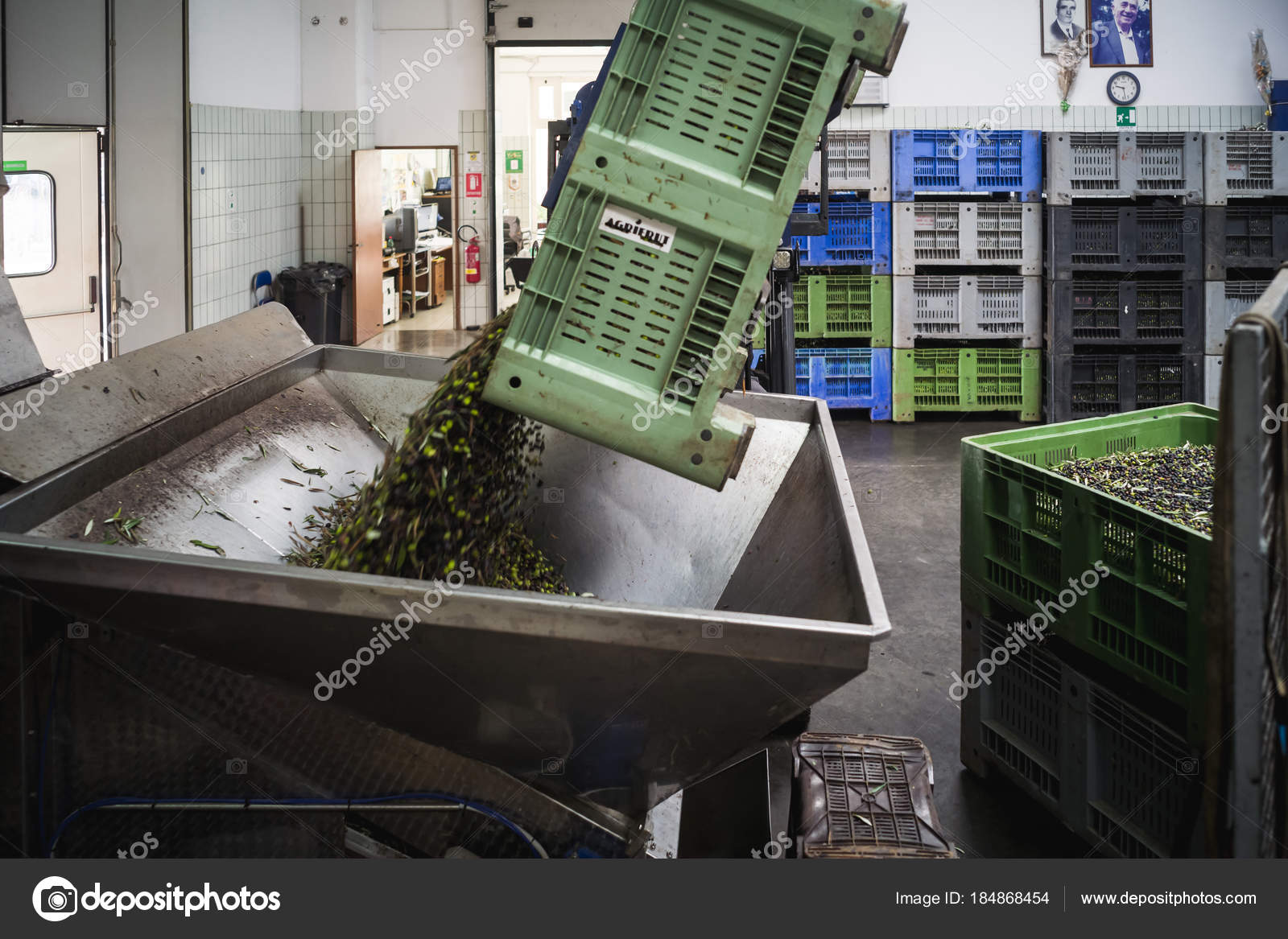 Making of Olive Oil Stock Photo by ©sabinoparente 184868454