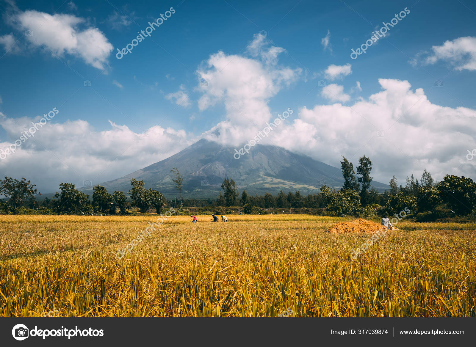 Great mayon volcano on luzon island philippines — Stock Photo © goinyk ...