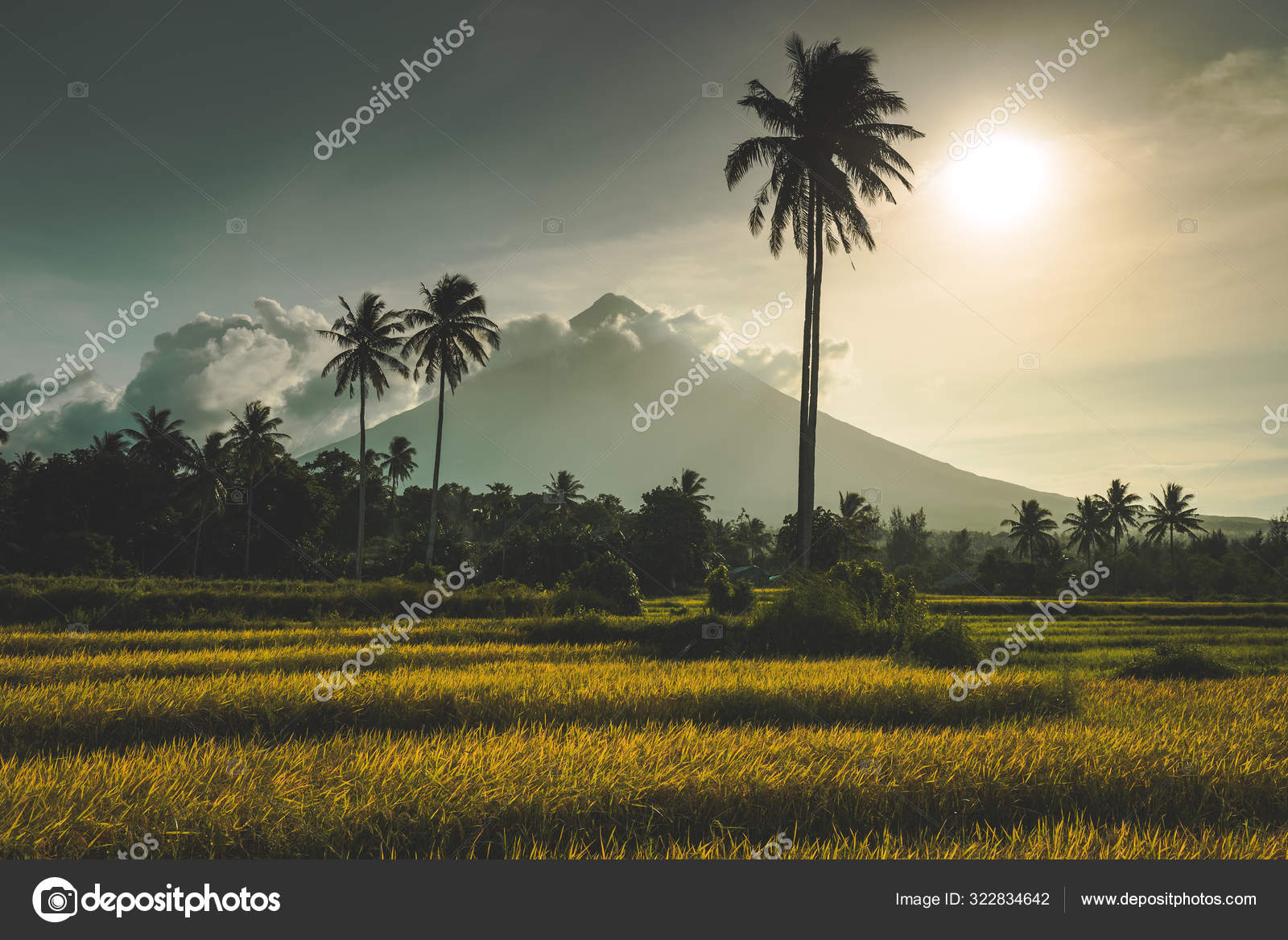 Mayon volcano on luzon island philippines photo Stock Photo by ©goinyk ...
