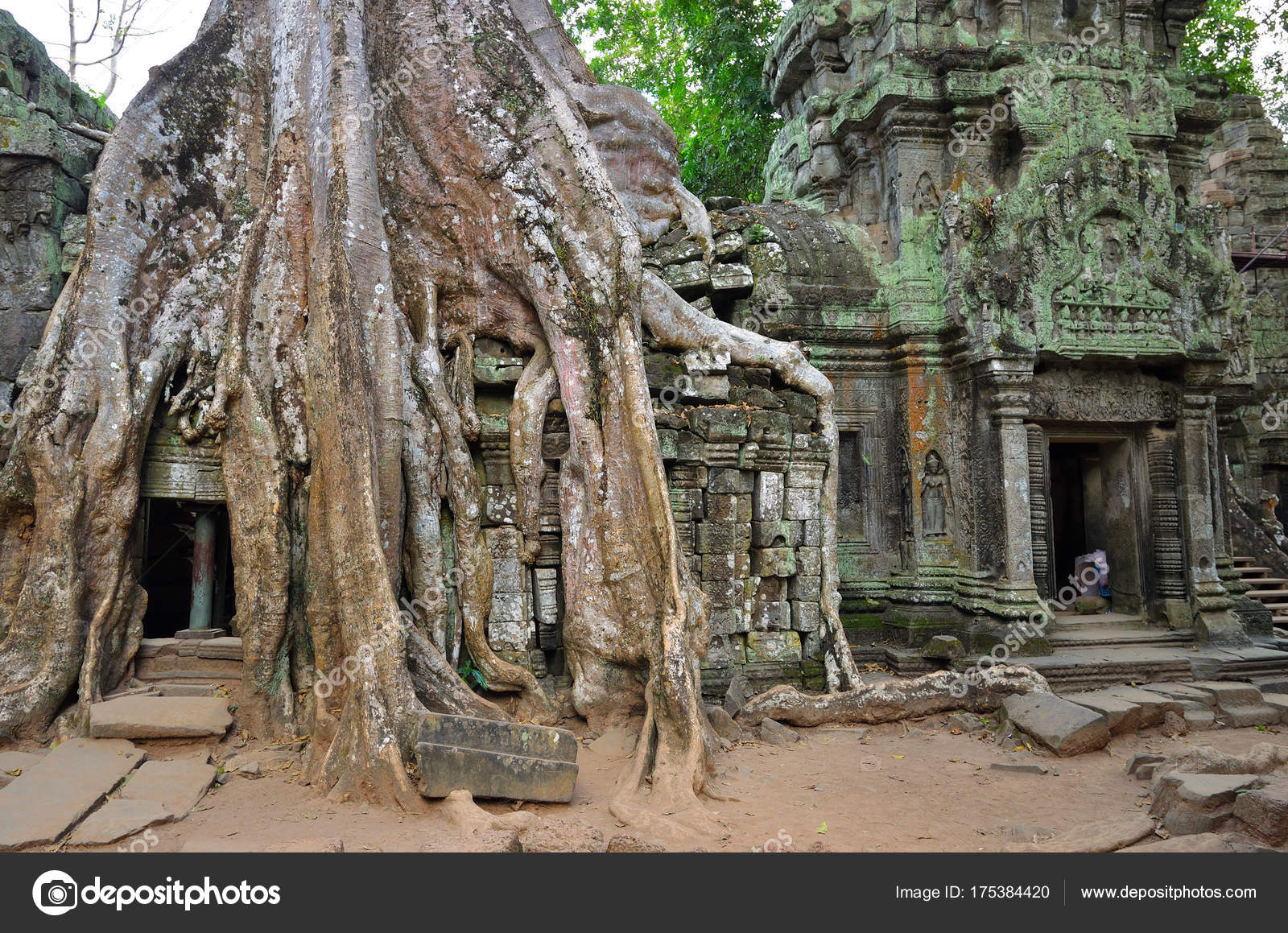 Ta Prohm temple, Angkor Wat, Cambodia — Stock Photo © znm666 #175384420