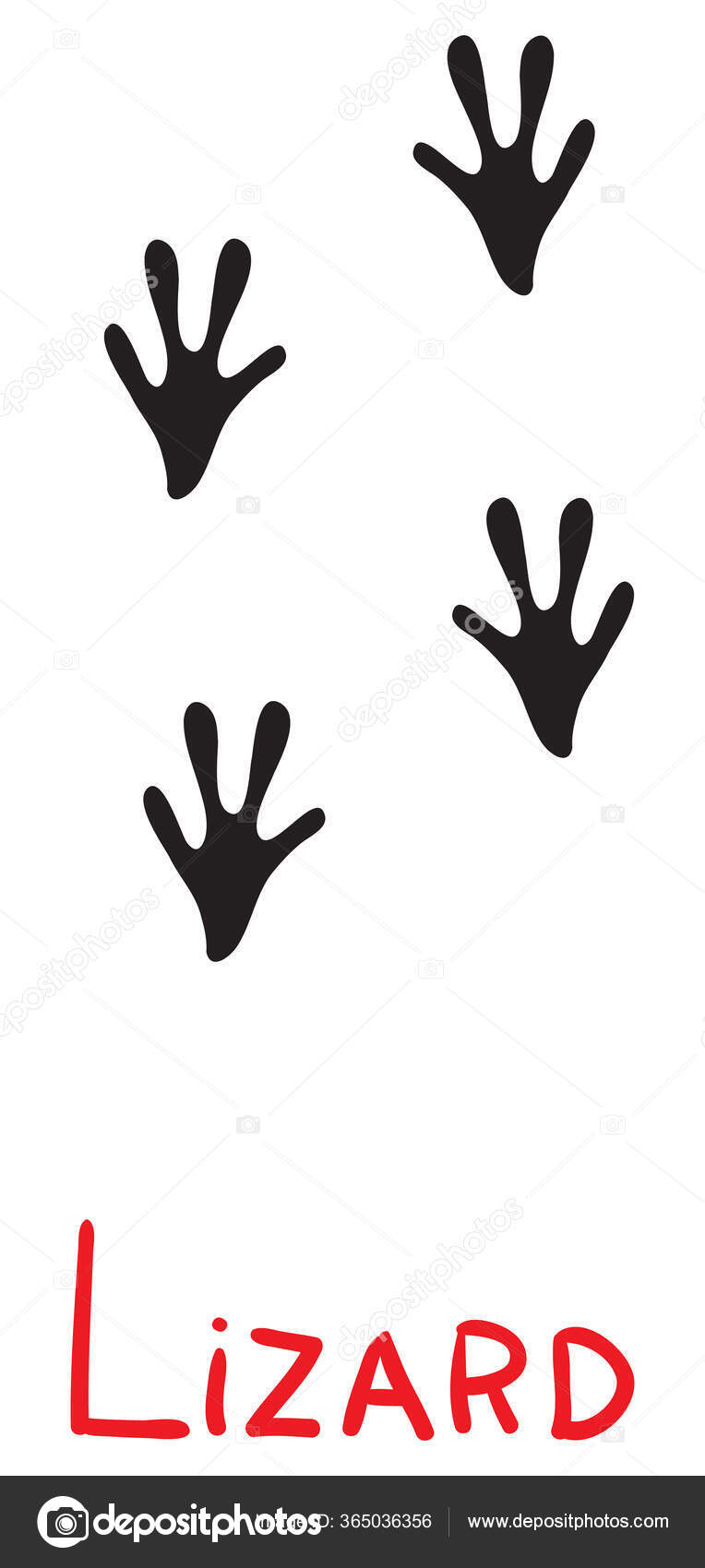 Lizard Footprint Clipart Images