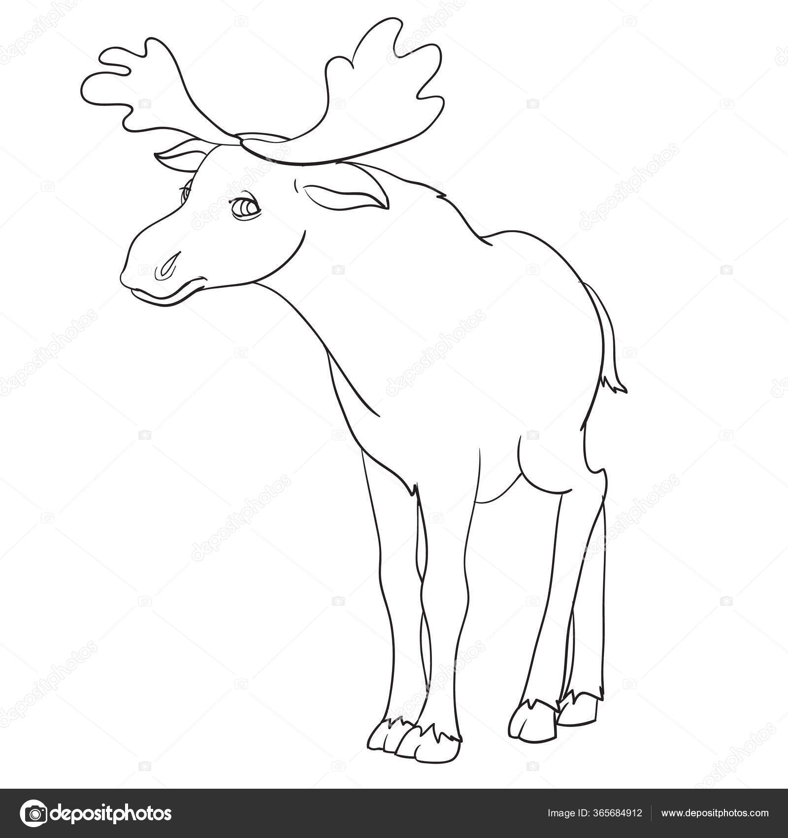 Contorno Di Corna Di Alce