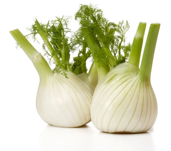Fennel bulb — Stock Photo © spaxiax #1639121