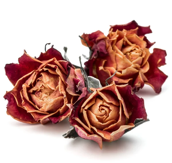 Dead roses Stock Photos, Royalty Free Dead roses Images | Depositphotos