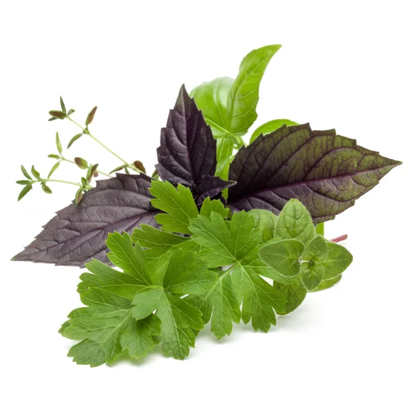 Hojas micro shiso rojo Stock Photos, Royalty Free Hojas micro shiso ...