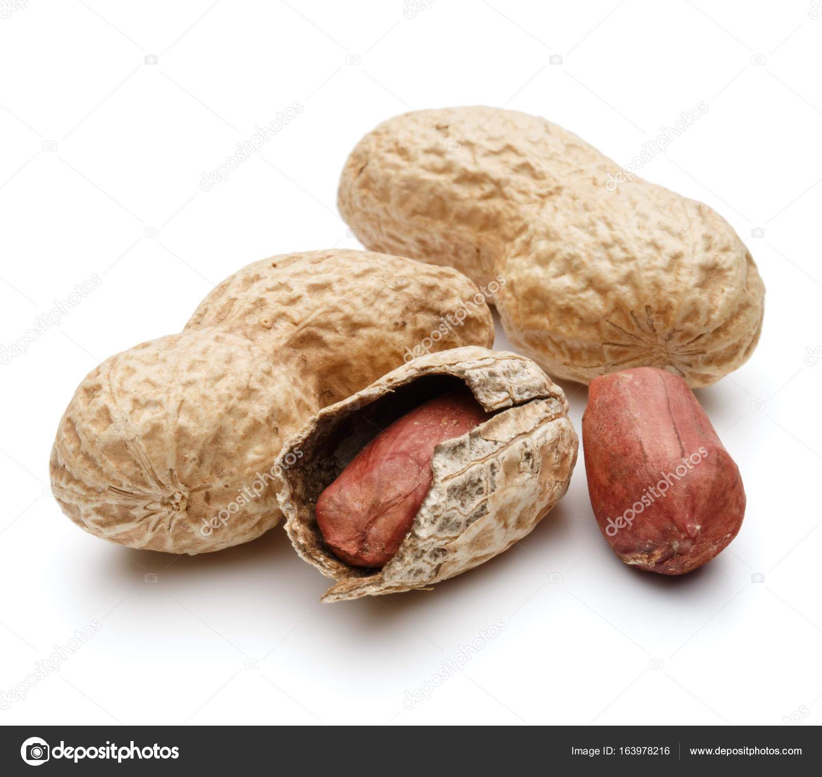 Peanut pod or arachis Stock Photo by ©natika 163978216