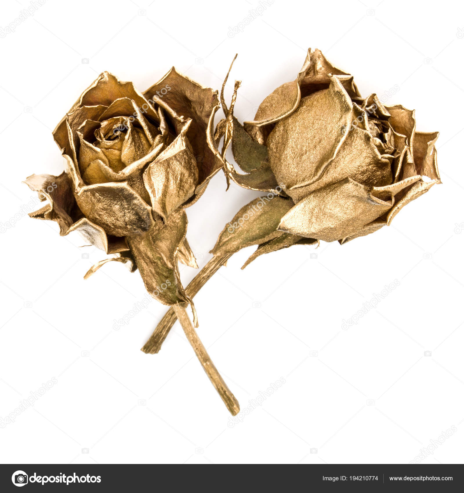 Two Gold Roses Isolated White Background — Stock Photo © natika #194210774
