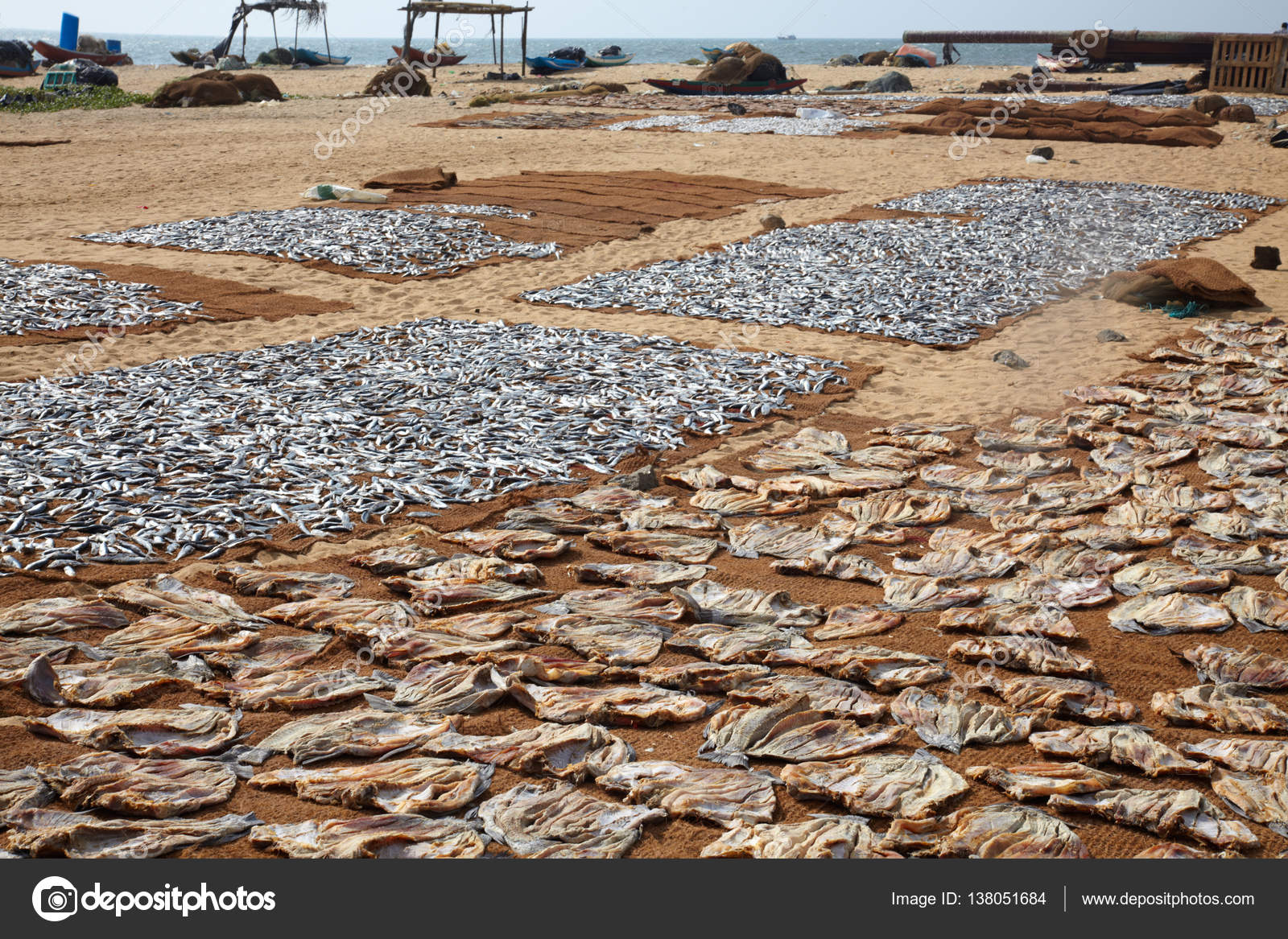 Sri Lankan traditional method of drying fresh fish — Stock Photo ...