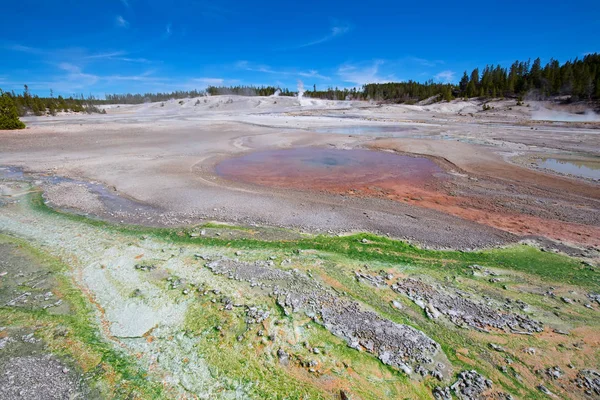 Geyser basin Stock Photos, Royalty Free Geyser basin Images | Depositphotos