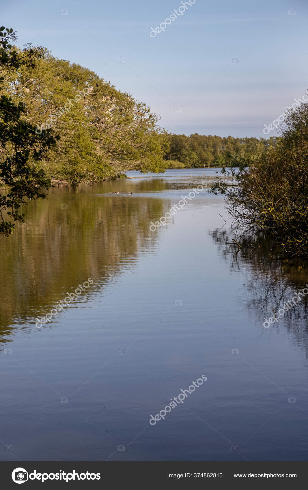 Lonely Forest Lake Nature Reserve Captured Trip Danish Island Bornholm ...
