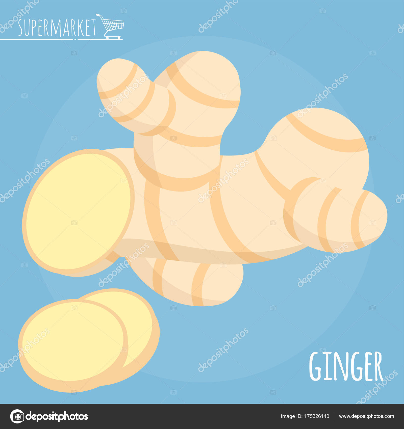 Ginger flat design vector icon. Stock Vector by ©mustahtar 175326140