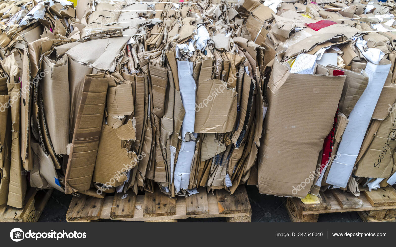 Pressed Cardboard Box Wooden Pallets Stock Photo by ©Colour 347546040