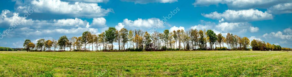 ᐈ Treeline silhouette stock backgrounds, Royalty Free wisconsin ...