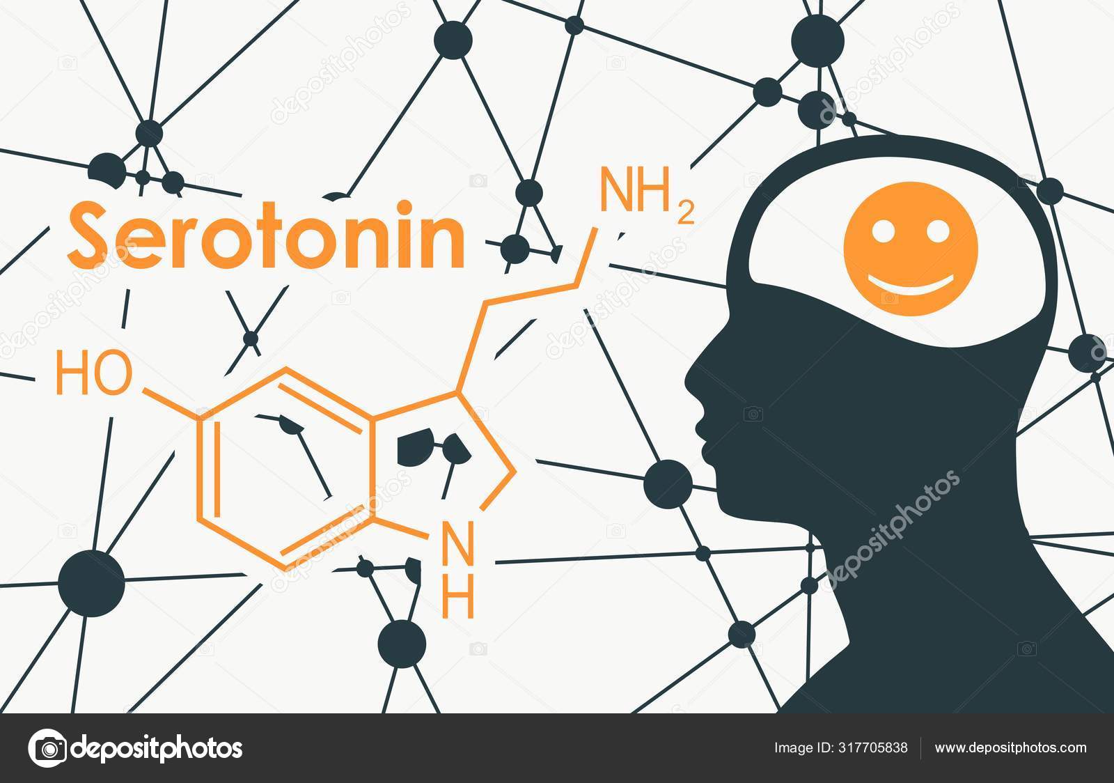 Formula hormone serotonin. Stock Vector Image by ©JEGAS_RA #317705838
