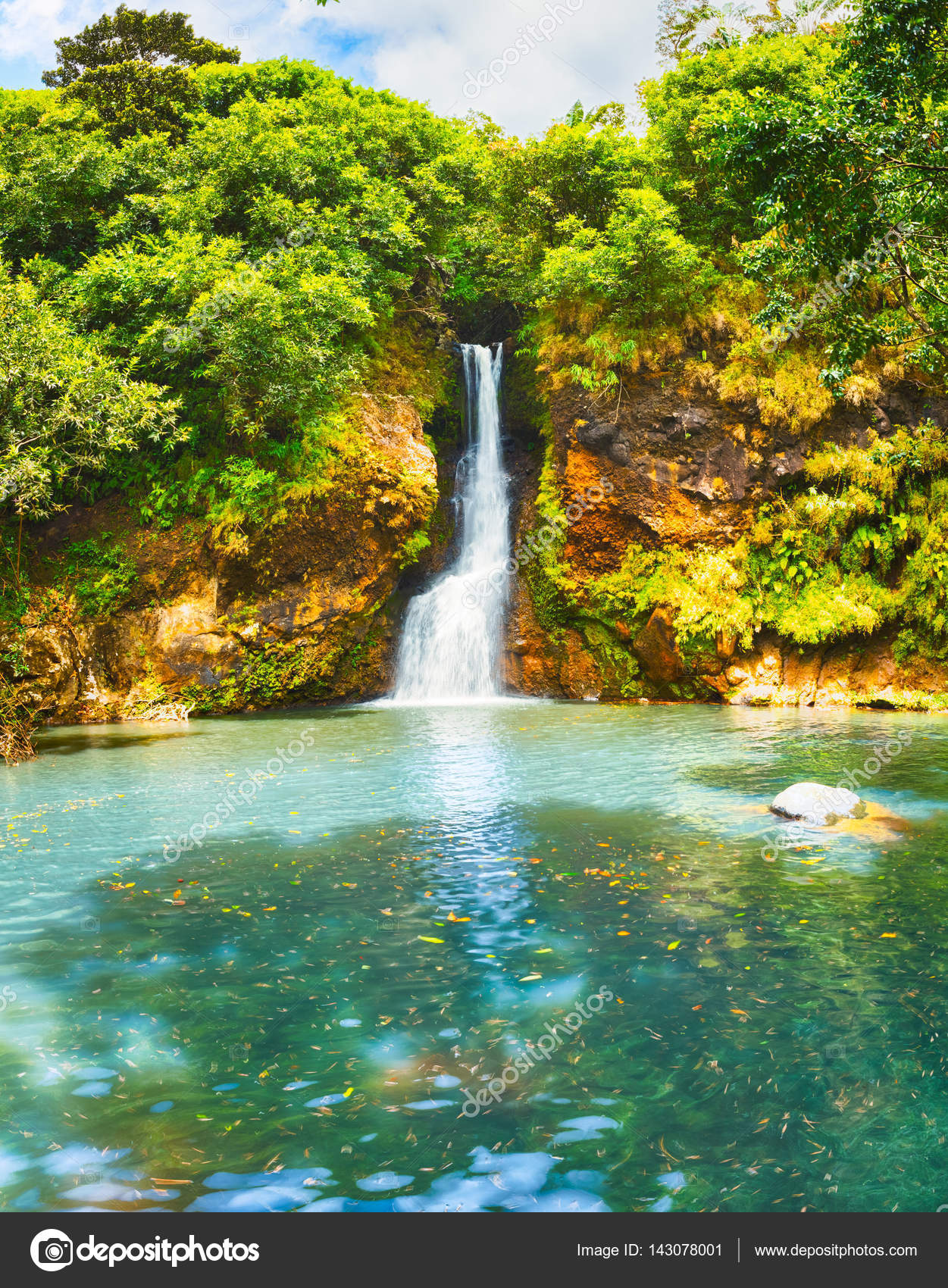 Cascade Chamouze waterfall. Mauritius Stock Photo by ©GoodOlga 143078001