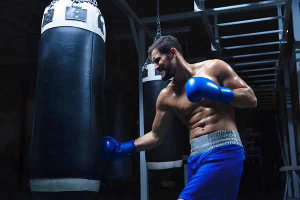Boxer in boxing ring Stock Photo by ©Deklofenak 172366338
