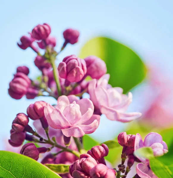 Balmy weather Stock Photos, Royalty Free Balmy weather Images ...