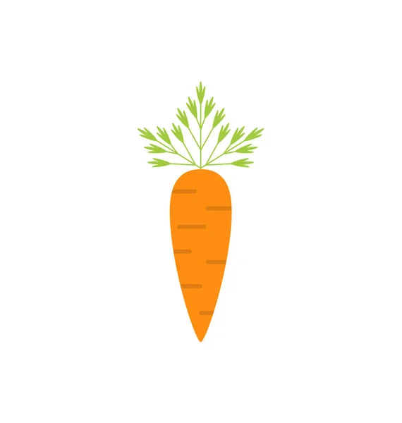 Carrot Top Vector