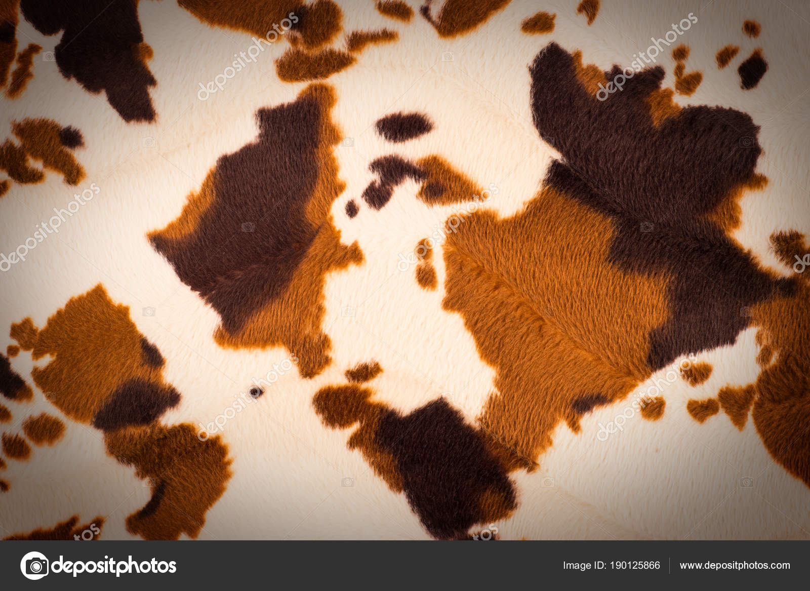 Cow skin texture | Cow skin texture — Stock Photo © DGolbay #190125866