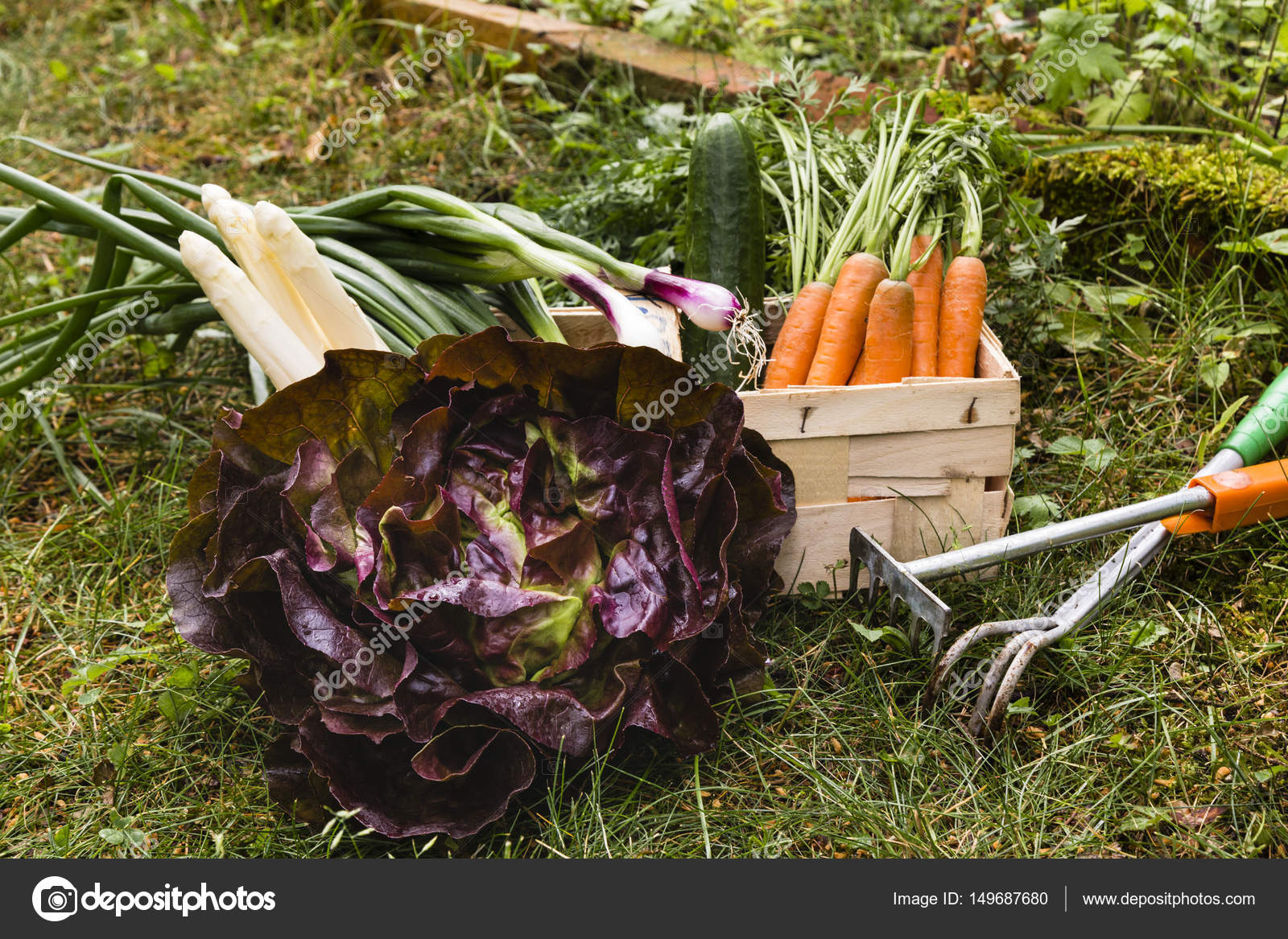 Harvest of vegetable Stock Photo by ©Copit1606 149687680