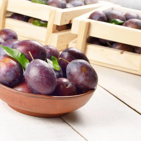Clay plate with plums — Stock Photo © e_mikh #146580083