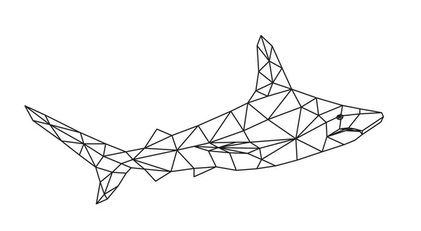 8,860,044 Polygon illustration shark Vector Images | Depositphotos