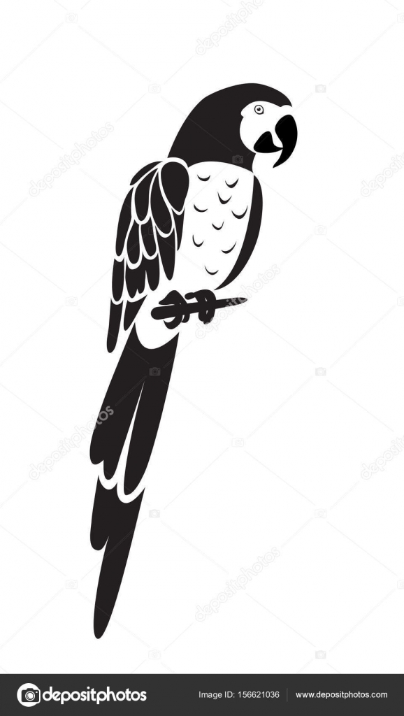 Parrot vector icon ⬇ Vector Image by © ColorValley | Vector Stock 156621036