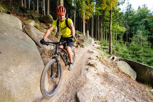 Downhill cycle Stock Photos, Royalty Free Downhill cycle Images ...